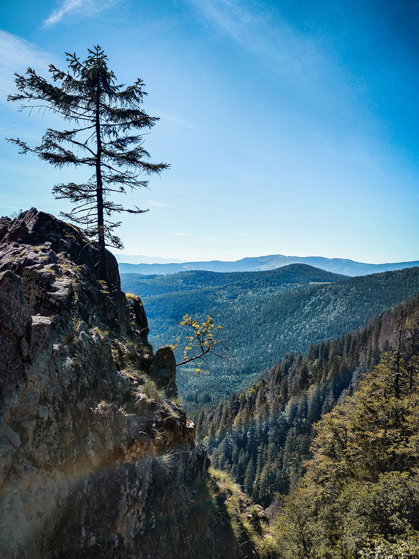 Sentier des Roches : une randonnée mythique dans les Vosges