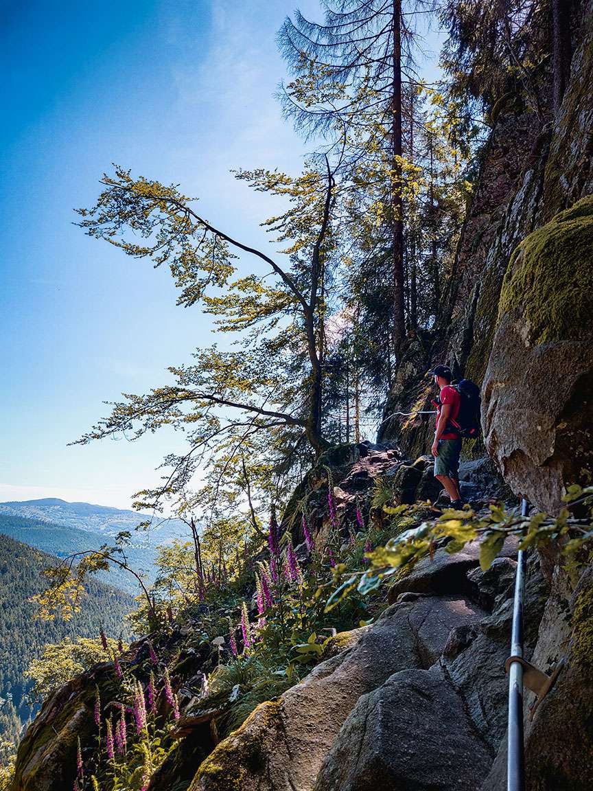 Sentier des Roches : une randonnée mythique dans les Vosges