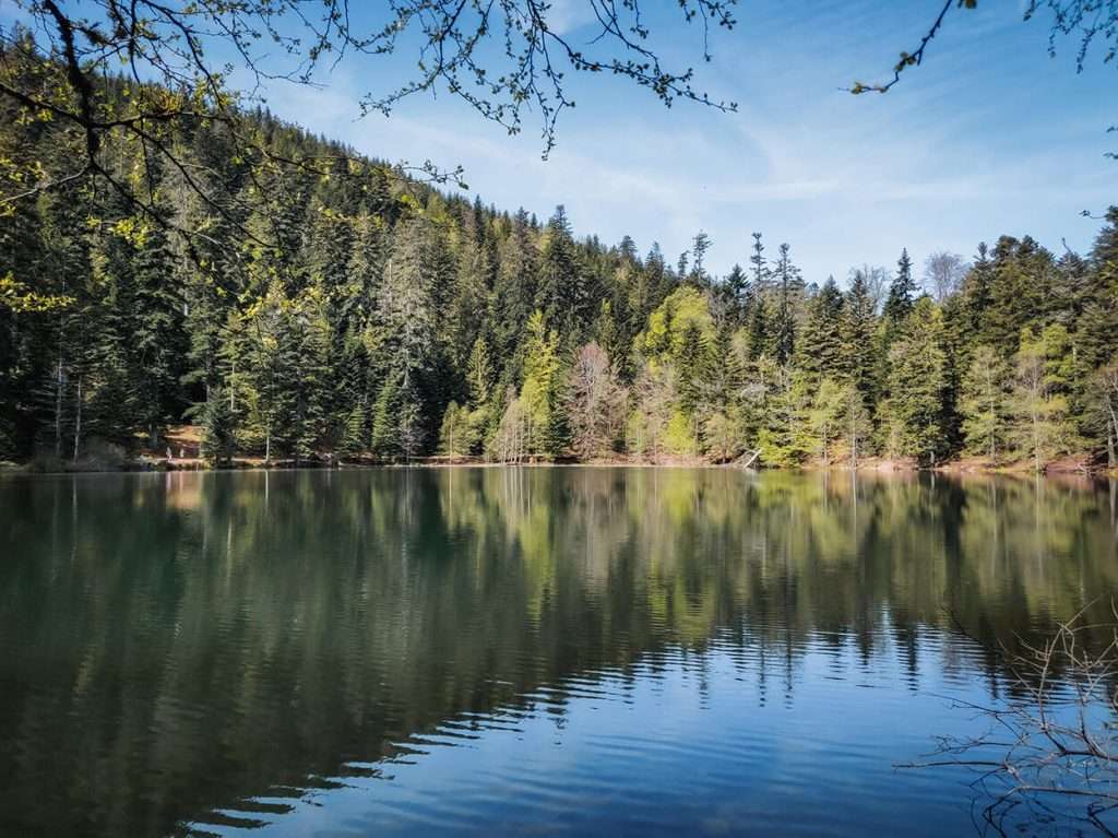 Découvrez les 25 plus beaux lacs des Vosges