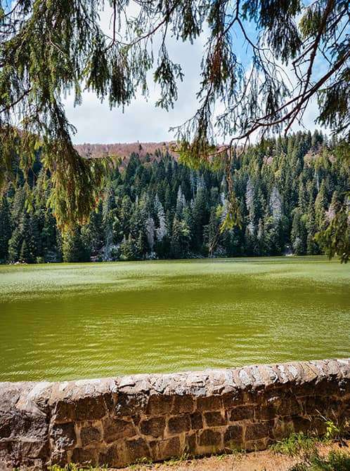 Découvrez les 25 plus beaux lacs des Vosges