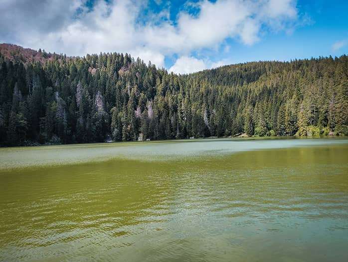 Découvrez les 25 plus beaux lacs des Vosges