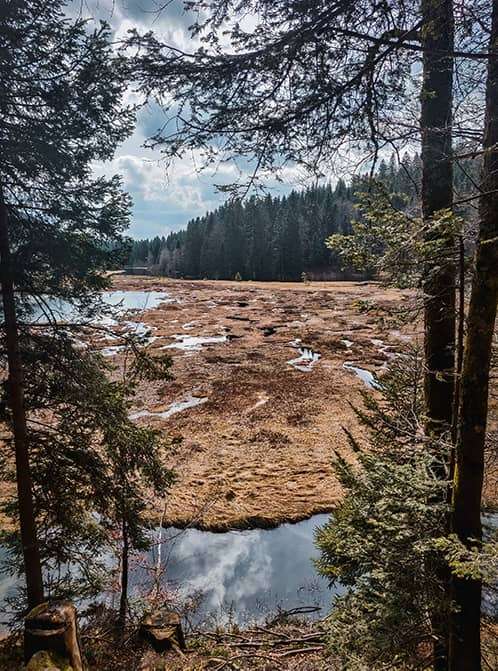 Découvrez les 25 plus beaux lacs des Vosges