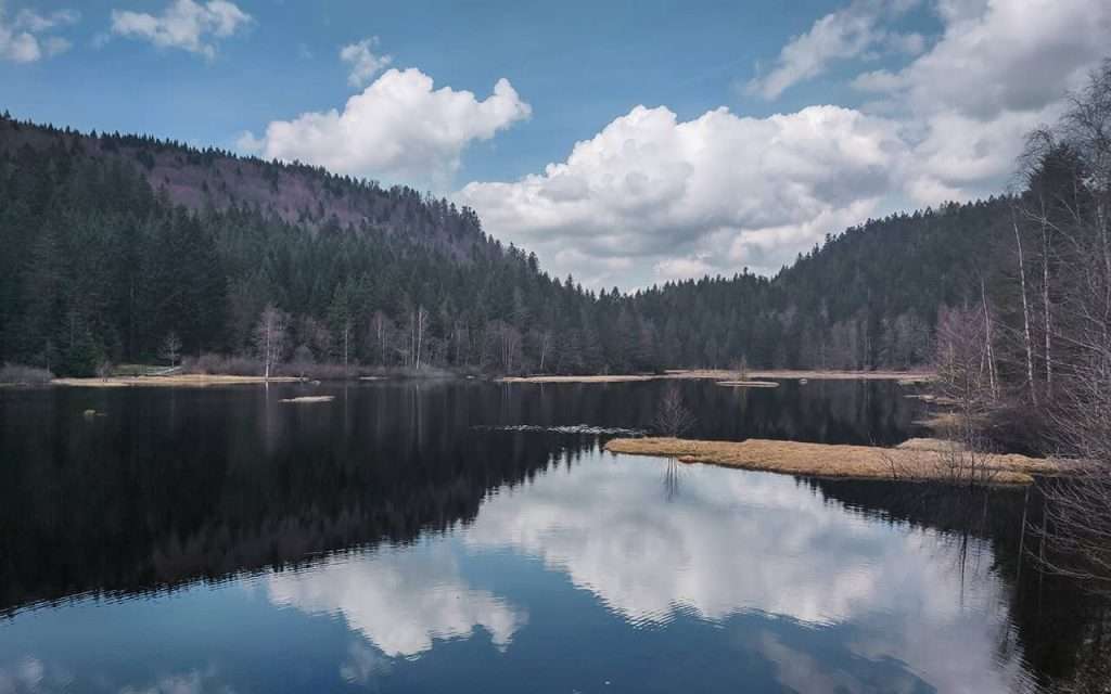 Découvrez les 25 plus beaux lacs des Vosges