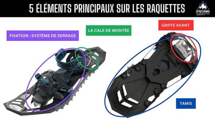 Les meilleures raquettes à neige pour randonner en hiver
