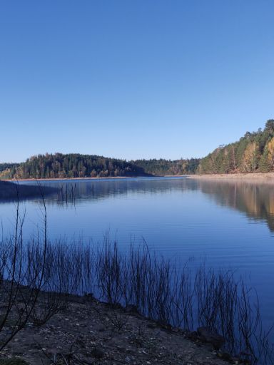 Découvrez les 25 plus beaux lacs des Vosges