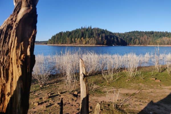 Découvrez les 25 plus beaux lacs des Vosges